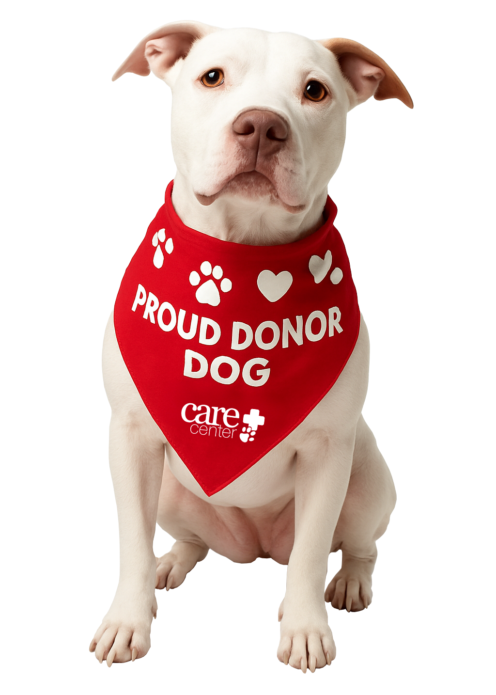 Care Center Blood Bank – A full-service, non-profit veterinary blood bank located at Care Center ...